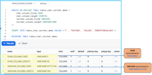 6 Most Widely Used Snowflake Data Types - Aegis Softtech