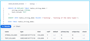 6 Most Widely Used Snowflake Data Types - Aegis Softtech