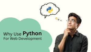 Top - Types of Python Frameworks for Web Development in 2025
