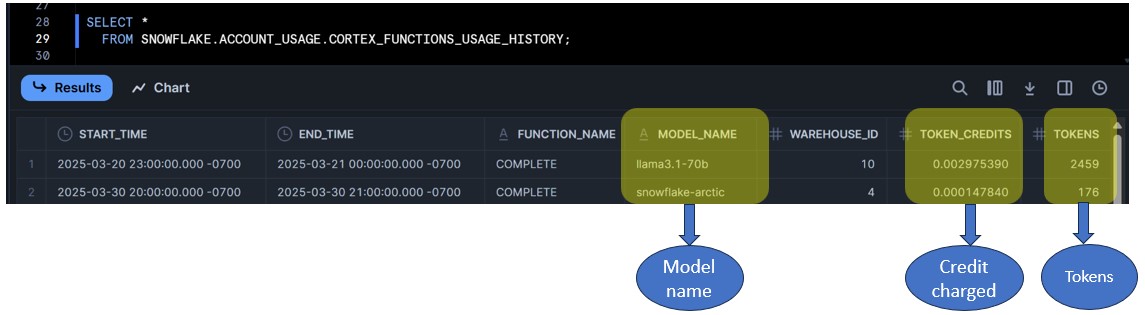 Snowflake Cortex LLM: Features, Cost & Use Cases